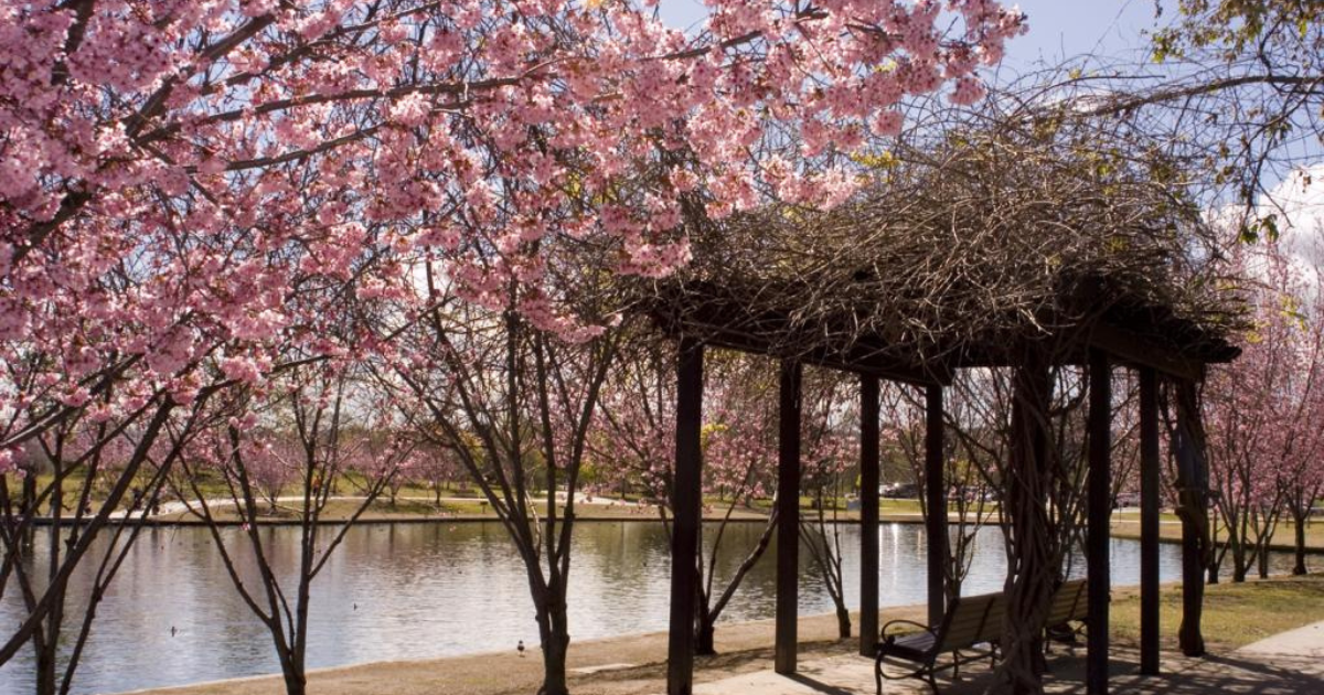 Lake Balboa, CA - Active Global Protection